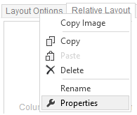 Altair Panopticon Designer Help - Panel